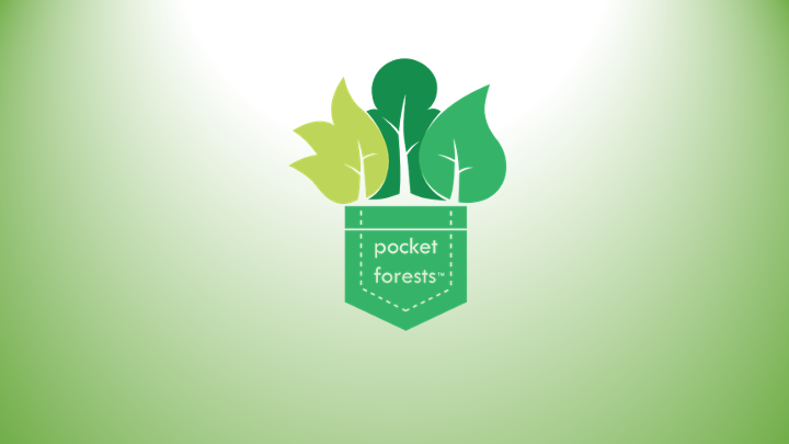 Do you know about Pocket Forests?